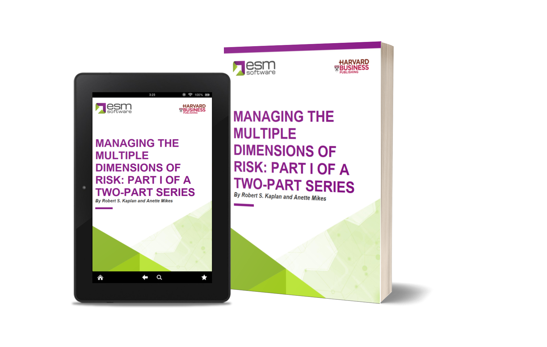 Download Managing Multiple Dimensions of Risk Part 1